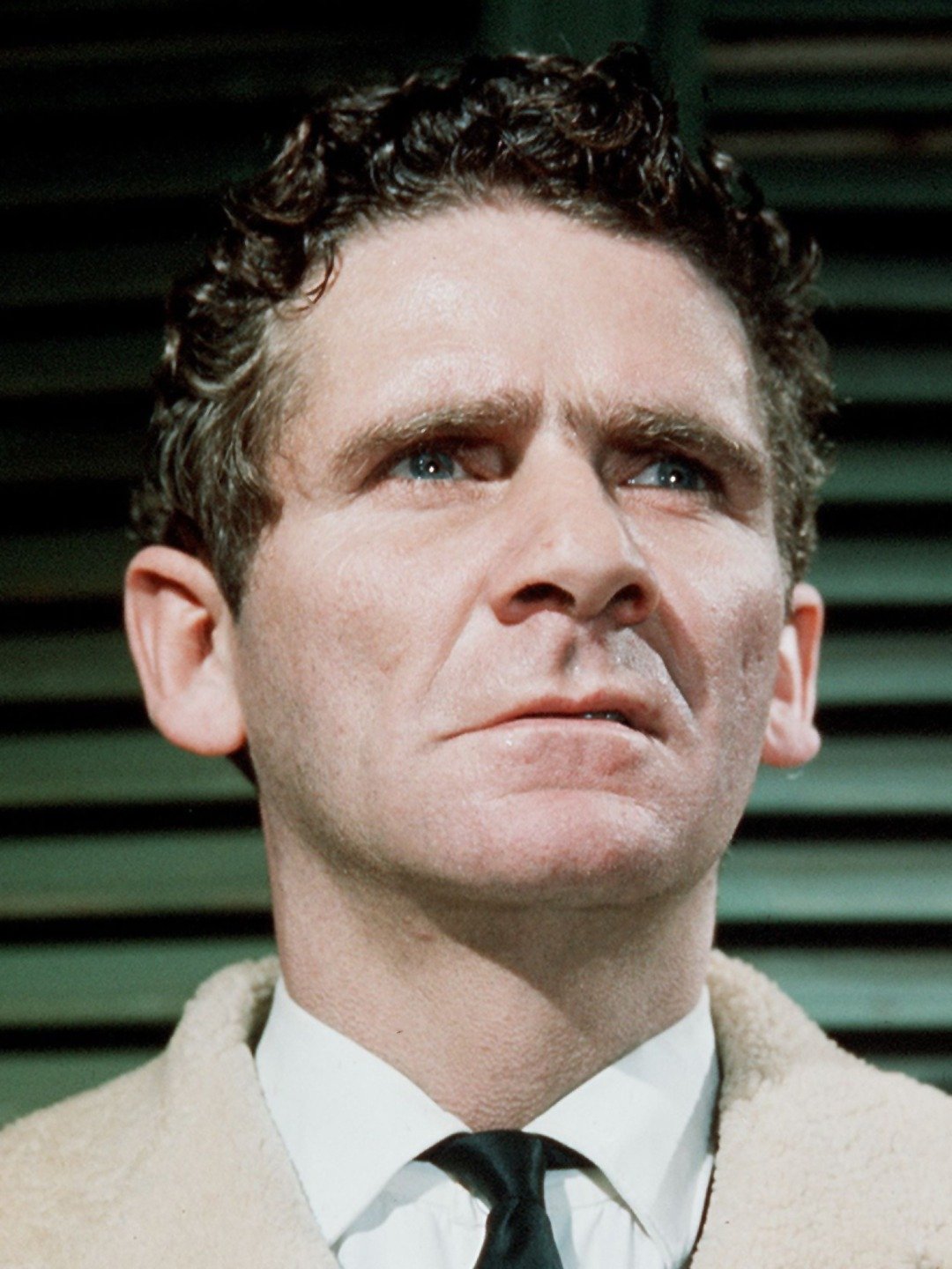 Al Mulock Pictures - Rotten Tomatoes