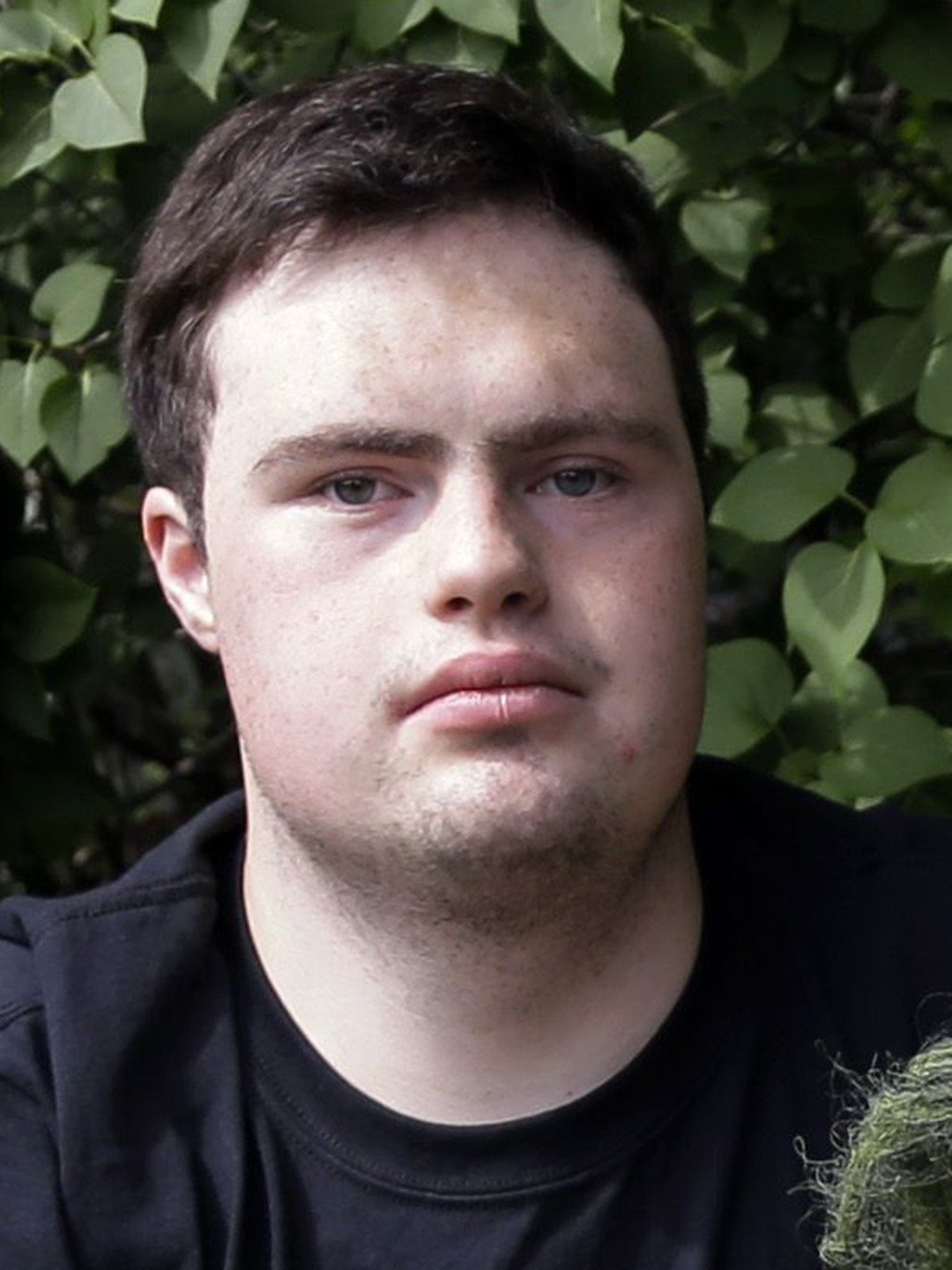 Sam Suchmann Pictures - Rotten Tomatoes