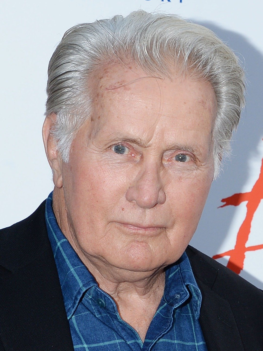 Martin Sheen Movies