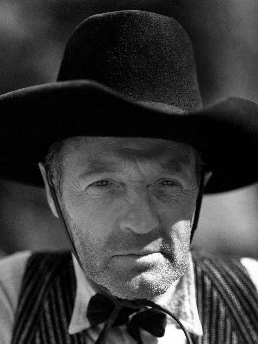 Forrest Taylor Pictures - Rotten Tomatoes