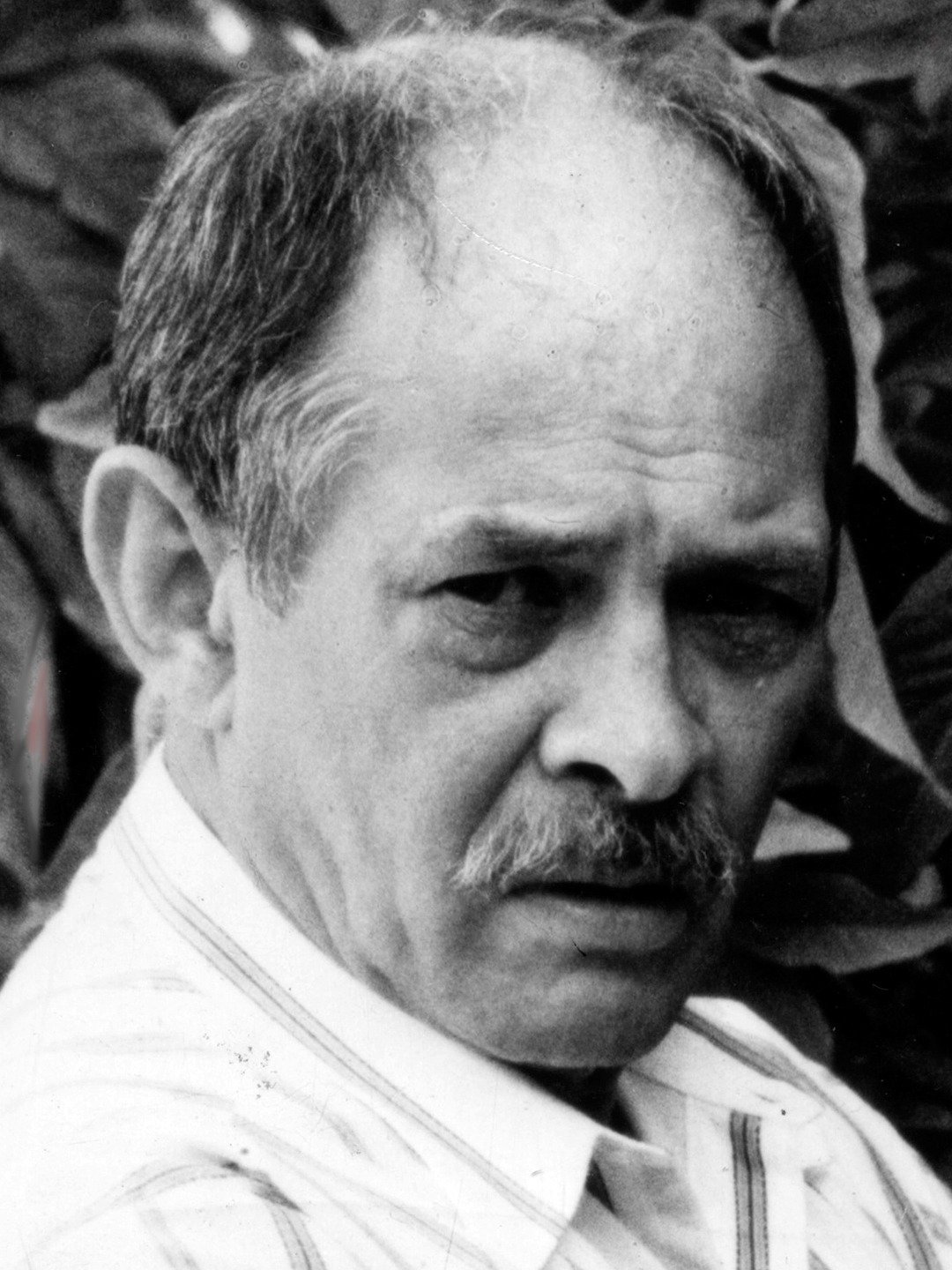 Geraldo Del Rey Pictures - Rotten Tomatoes