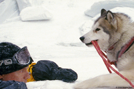 What Dogs Died In 8 Below