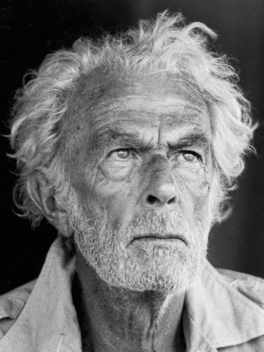 Friedrich von Ledebur Pictures - Rotten Tomatoes