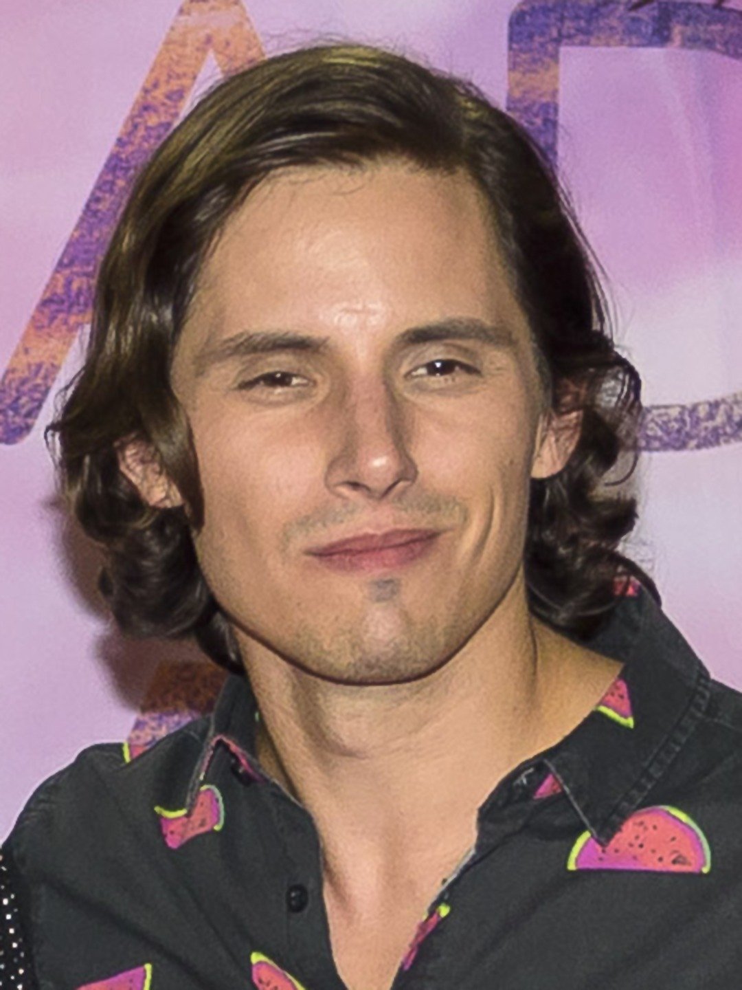 Matt Webb Celebrity Status