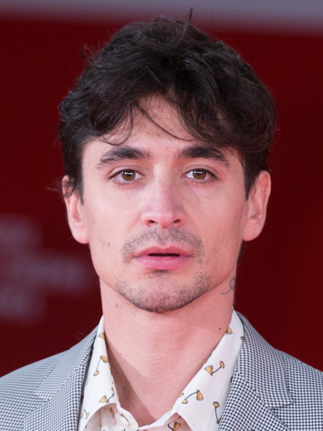 Giulio Beranek Pictures - Rotten Tomatoes