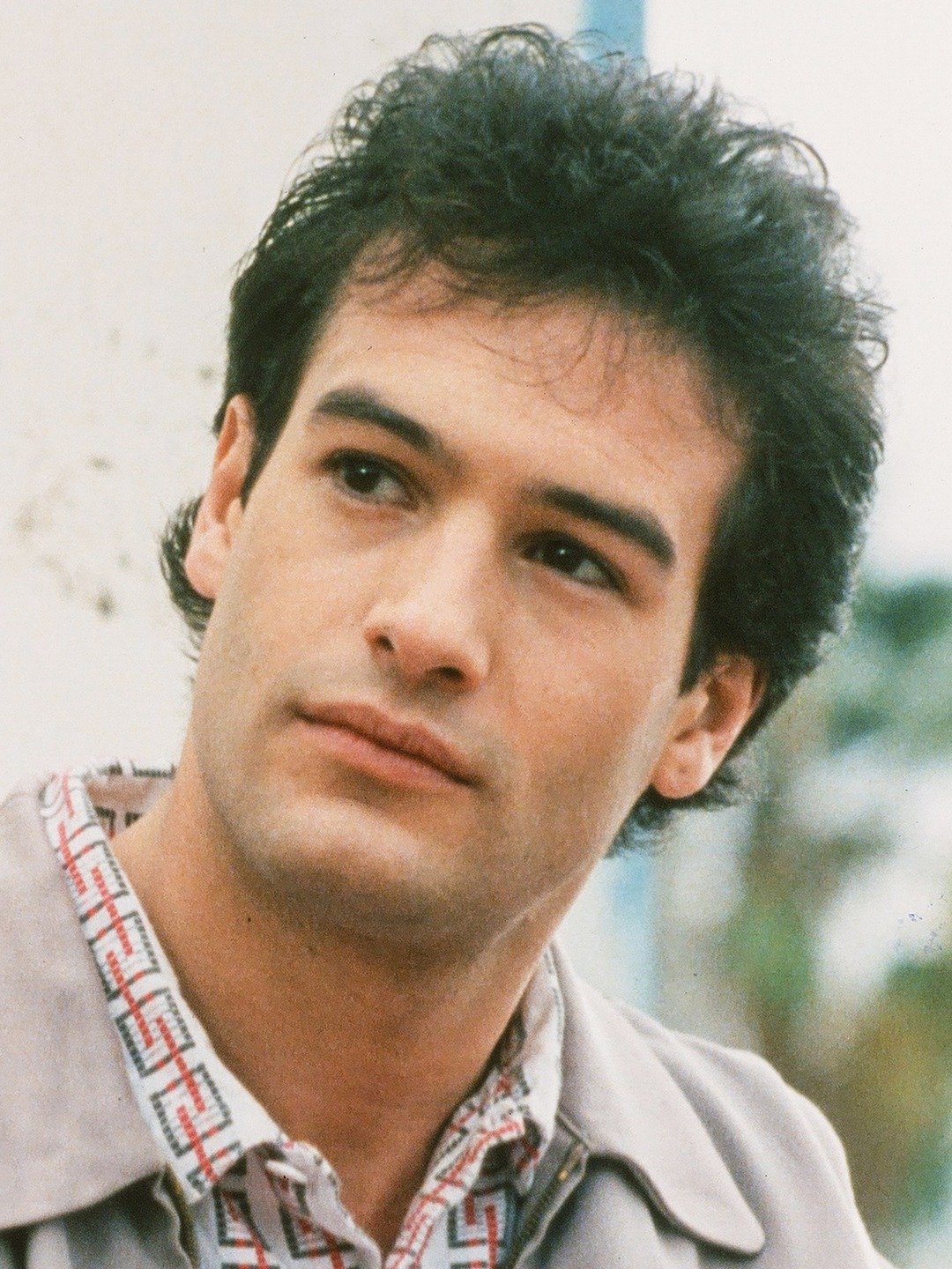 David Packer Pictures - Rotten Tomatoes