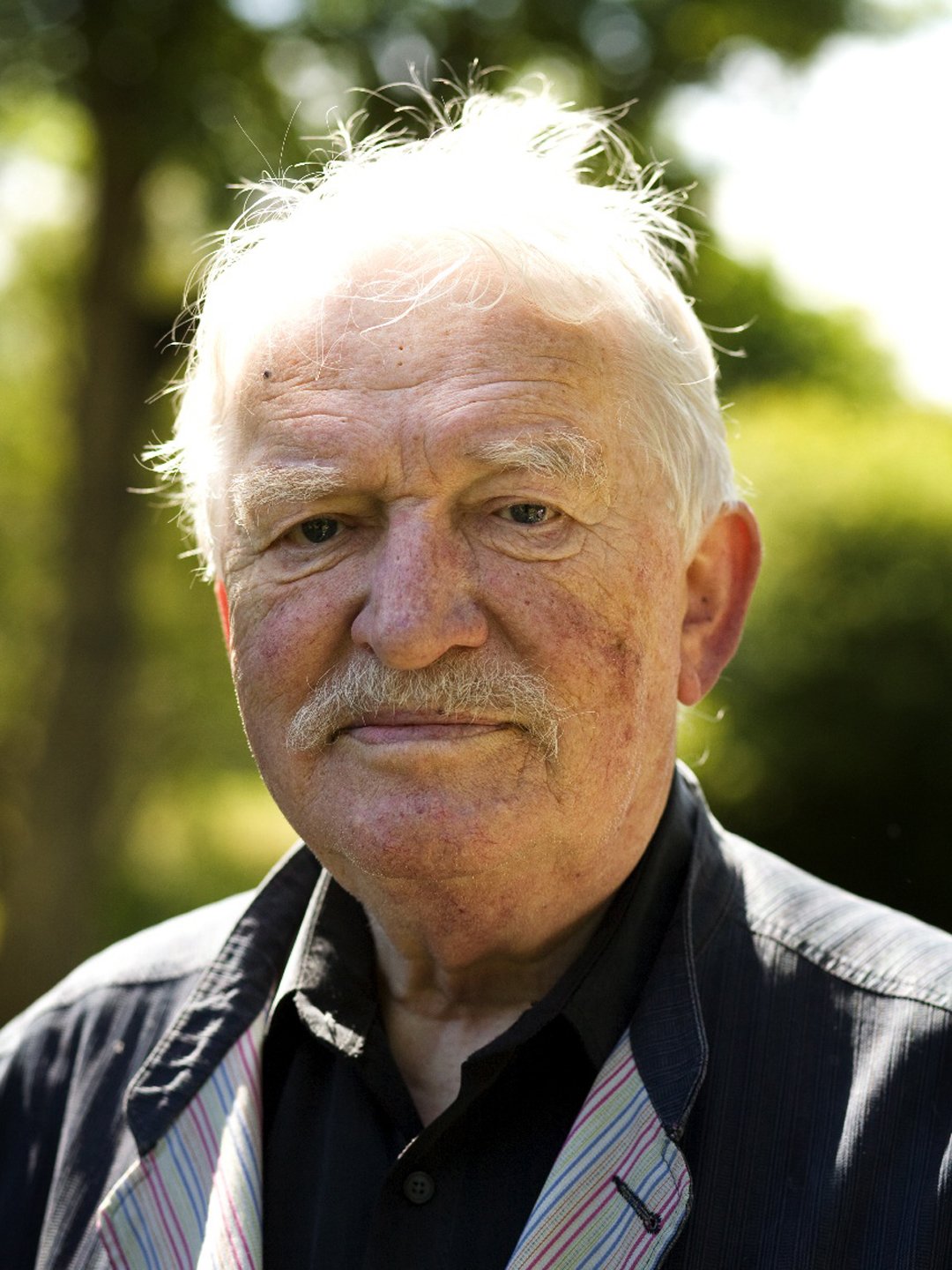 Hans Alfredson Pictures - Rotten Tomatoes