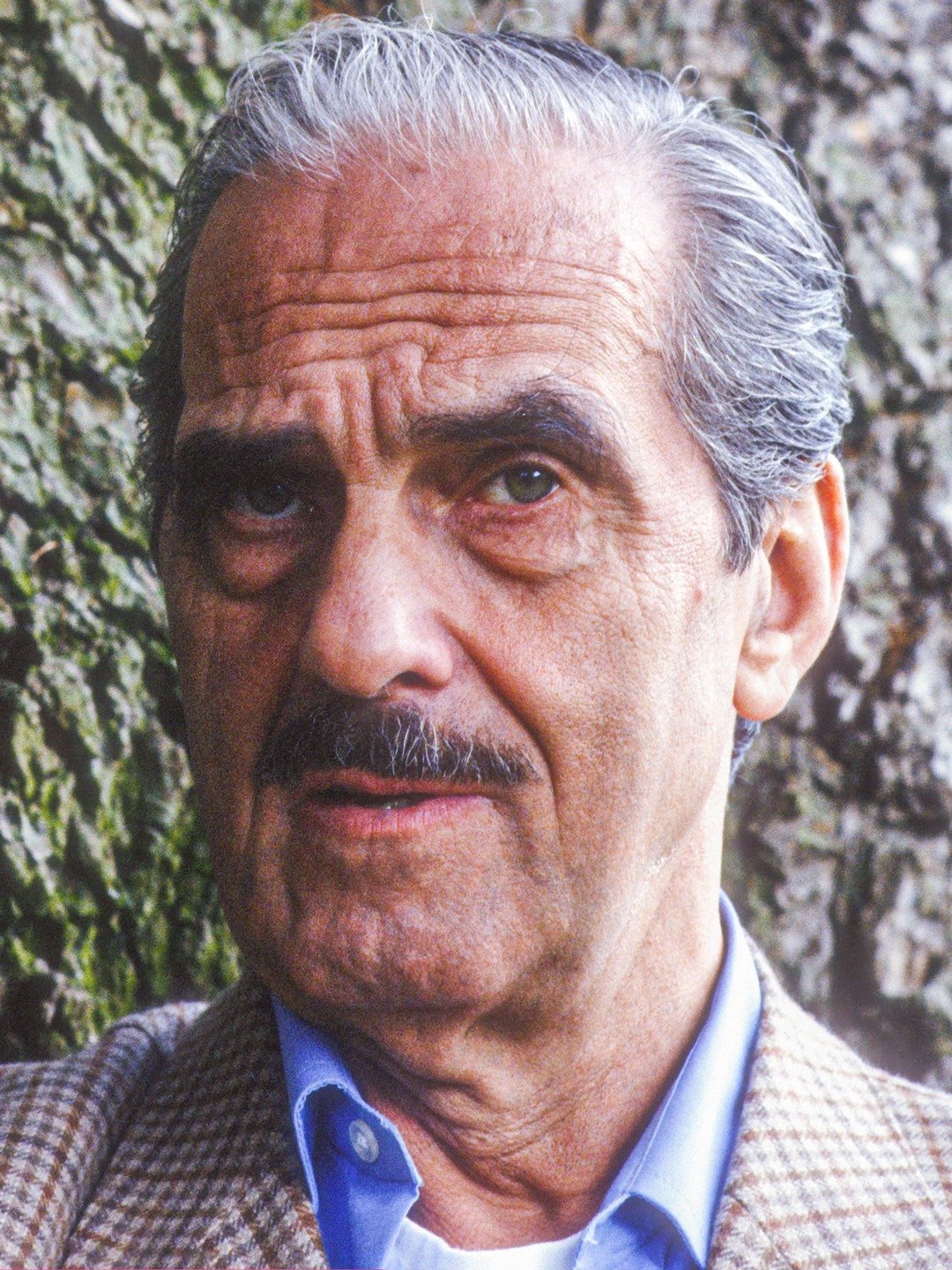 Robert Arden Pictures - Rotten Tomatoes