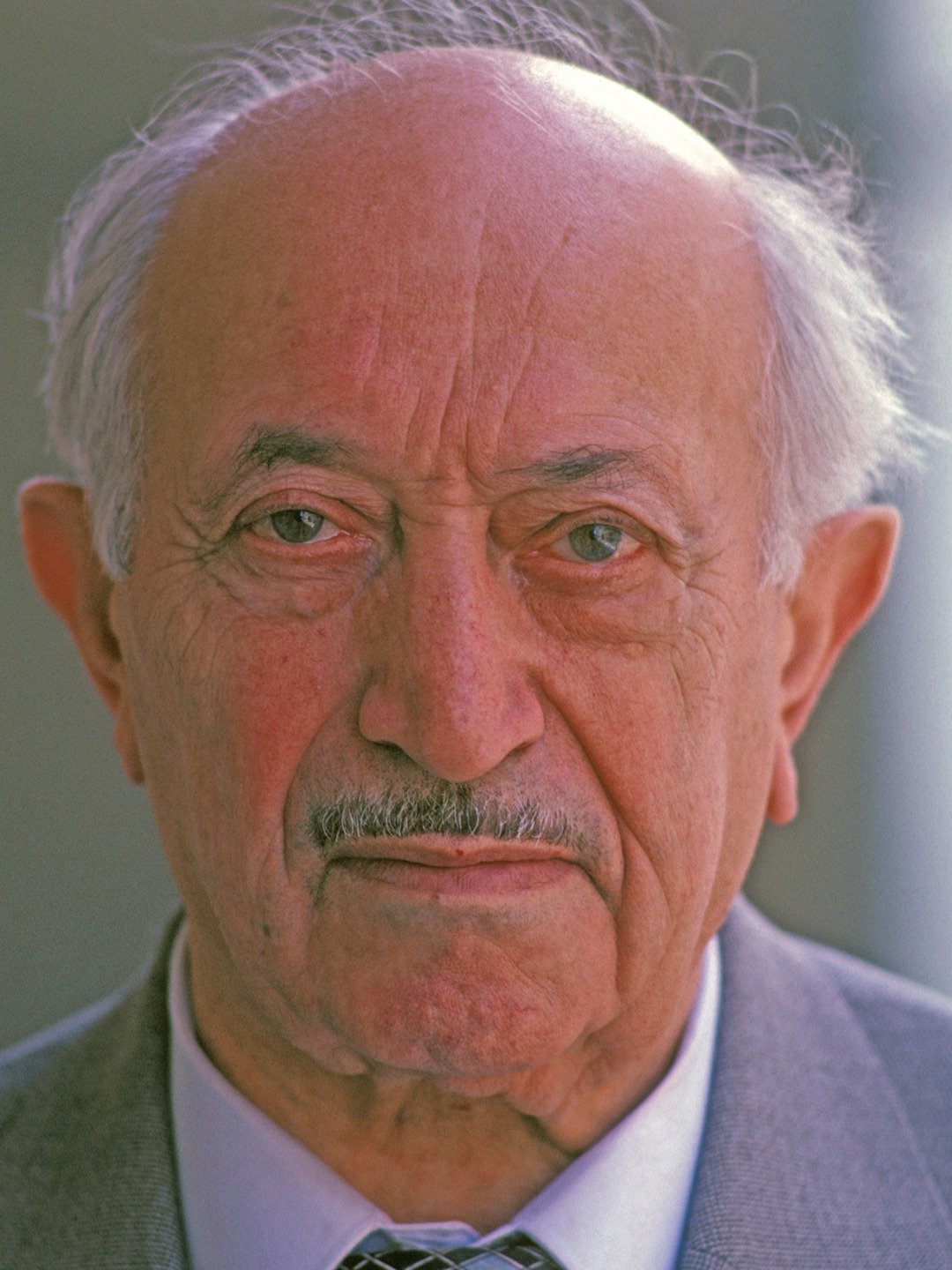 Simon Wiesenthal Pictures - Rotten Tomatoes