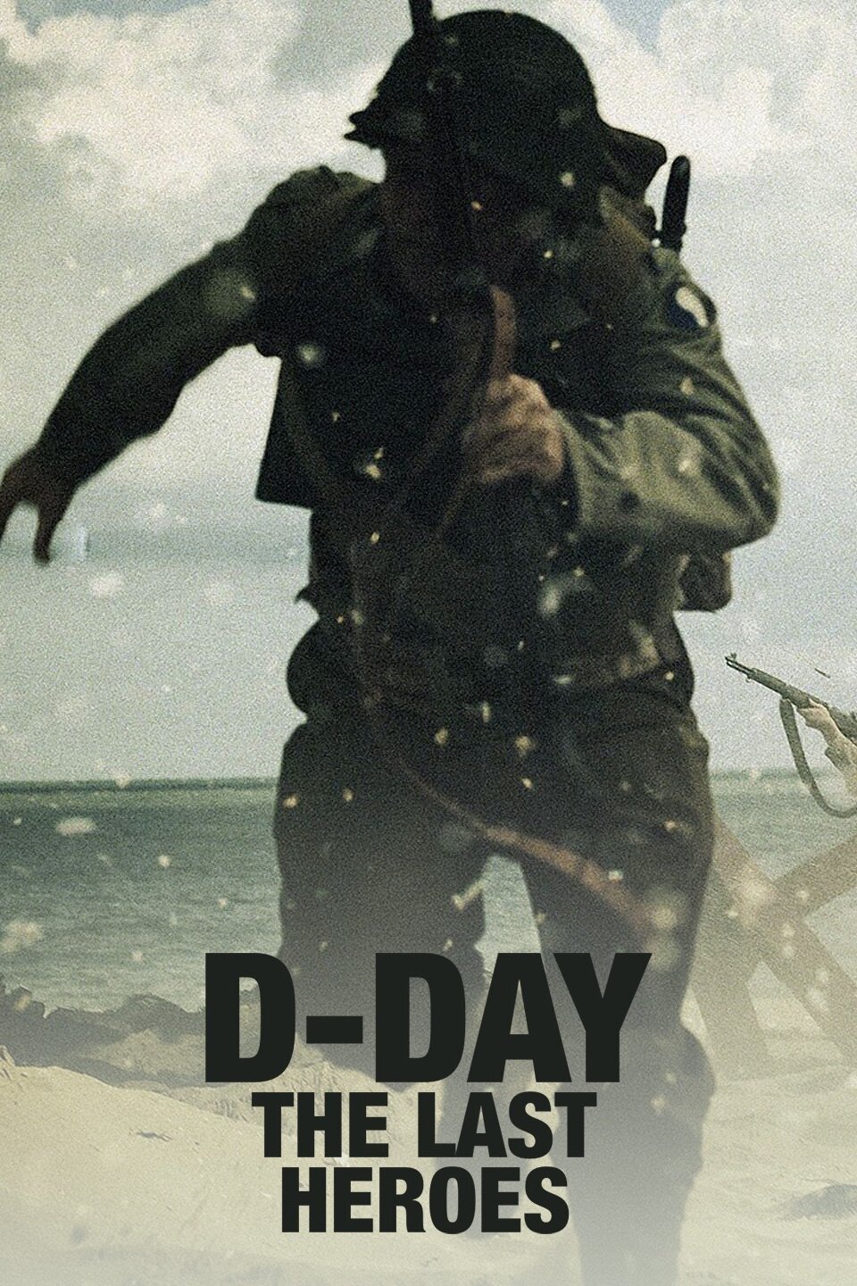 D-Day: The Last Heroes - Rotten Tomatoes