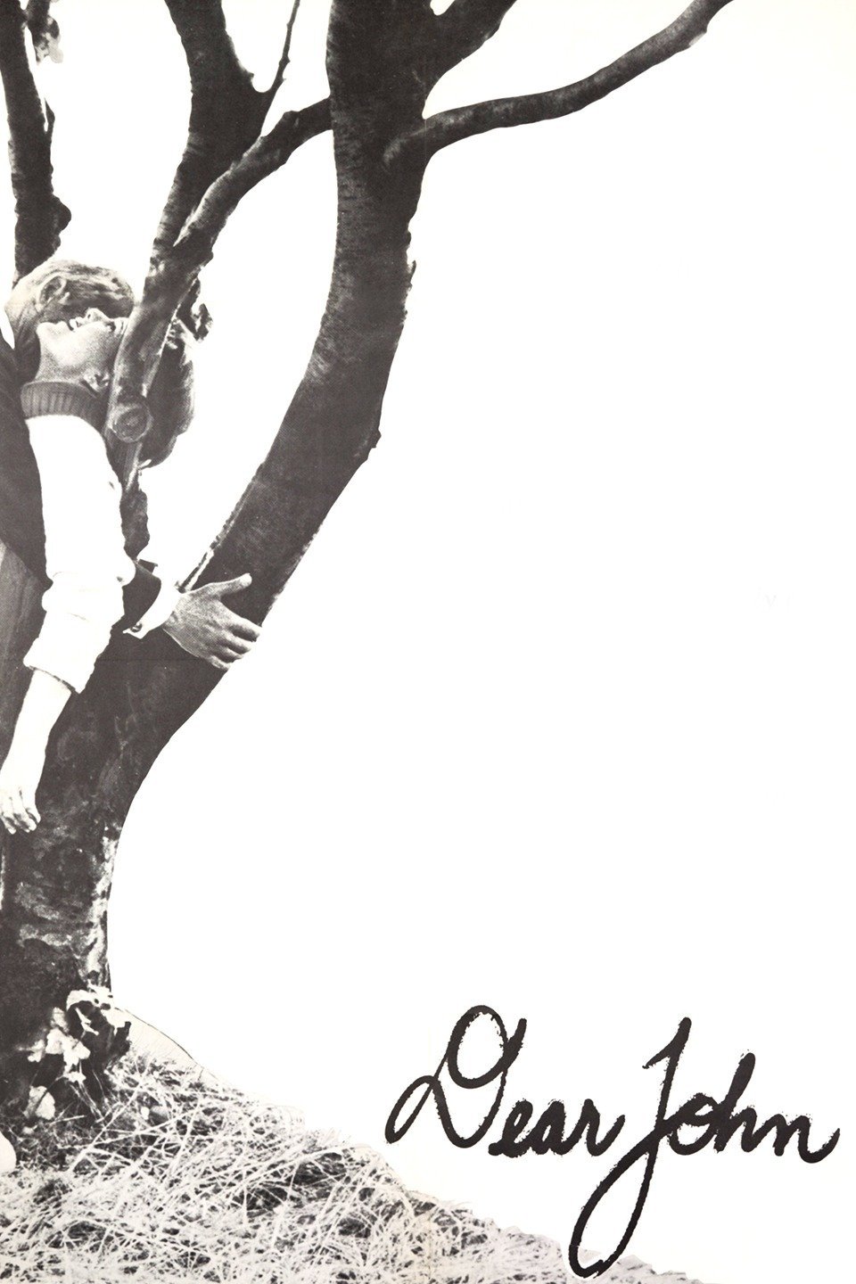 Dear John - Rotten Tomatoes