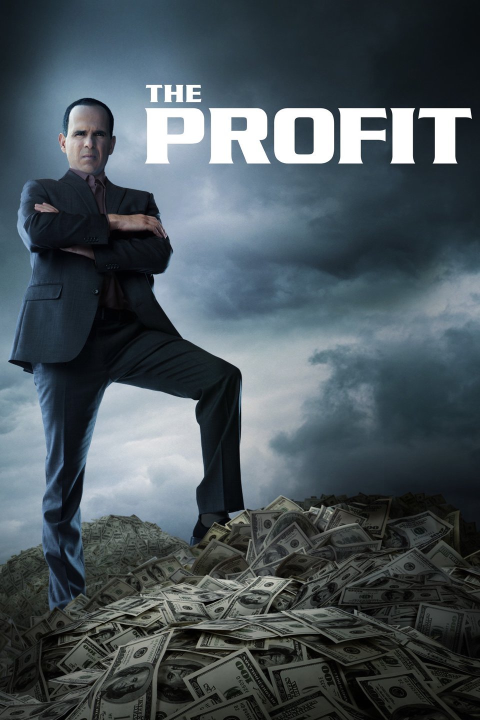 The Profit - Rotten Tomatoes