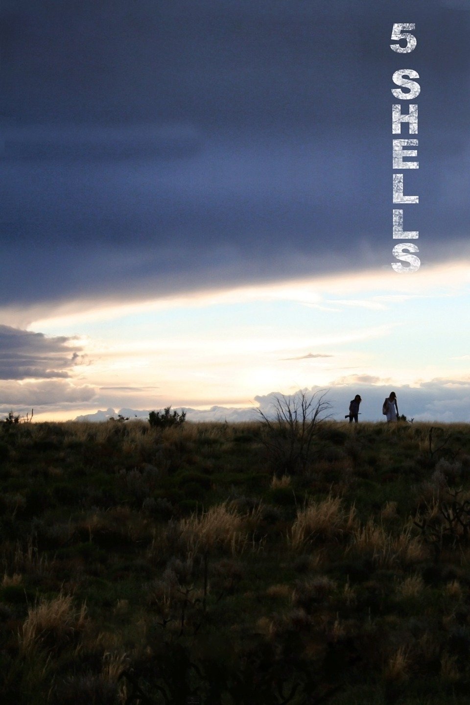 5 Shells Pictures - Rotten Tomatoes