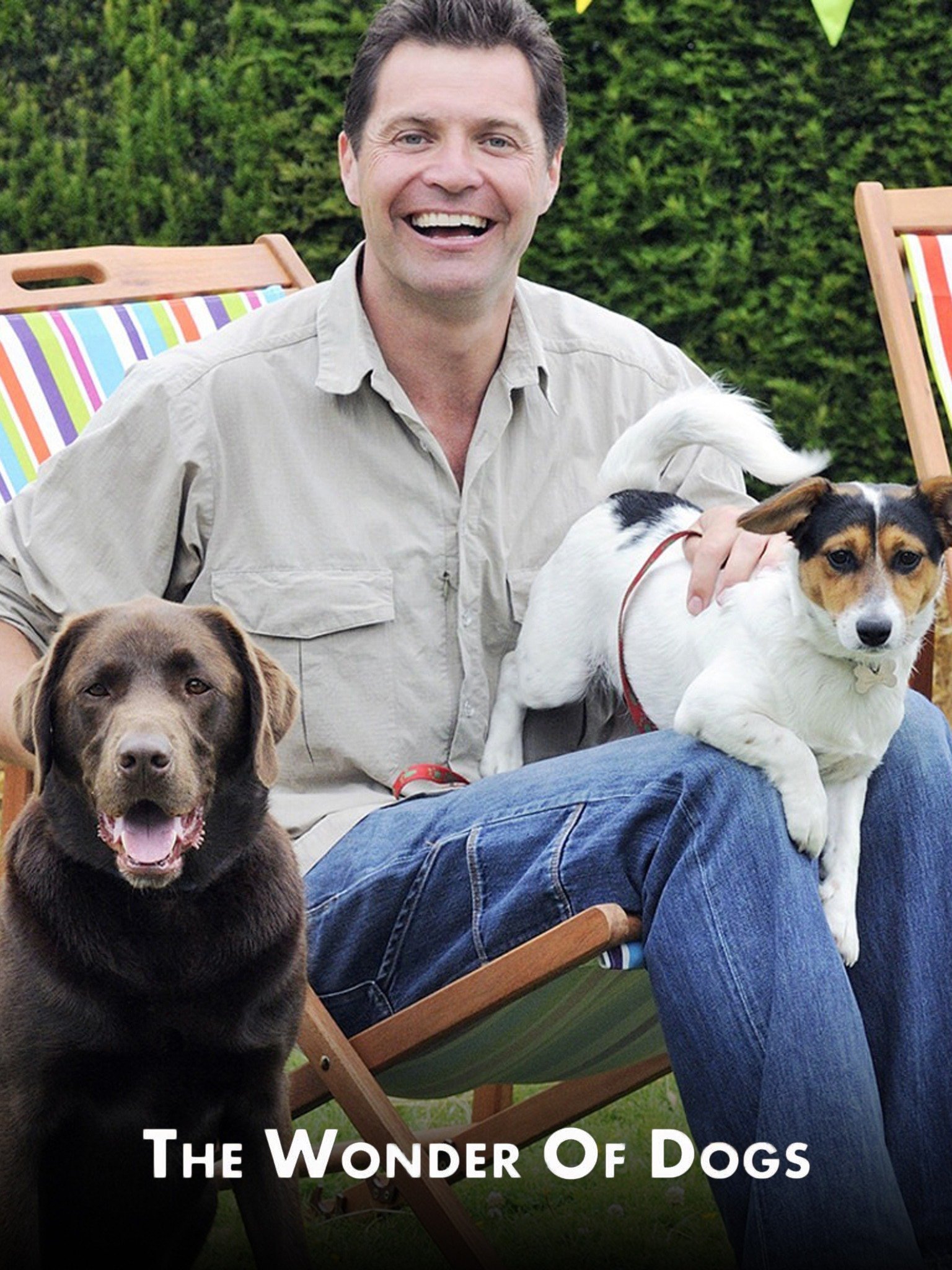 The Wonder of Dogs - Rotten Tomatoes