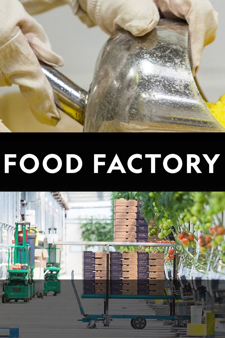 Food Factory - Rotten Tomatoes