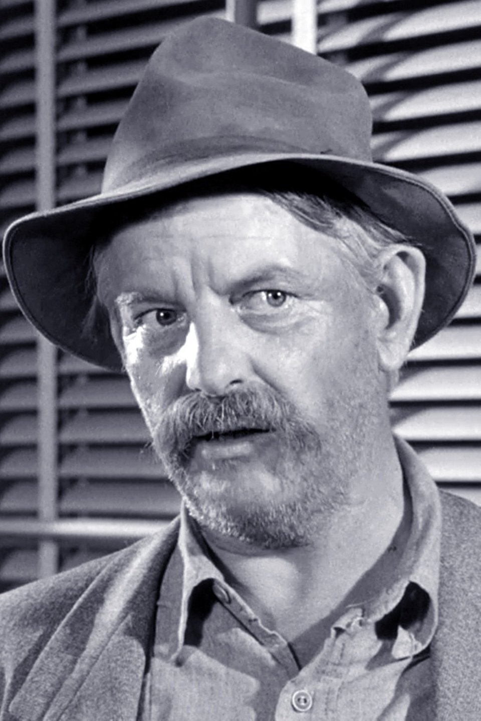 Briscoe Declares for Aunt Bee Pictures - Rotten Tomatoes