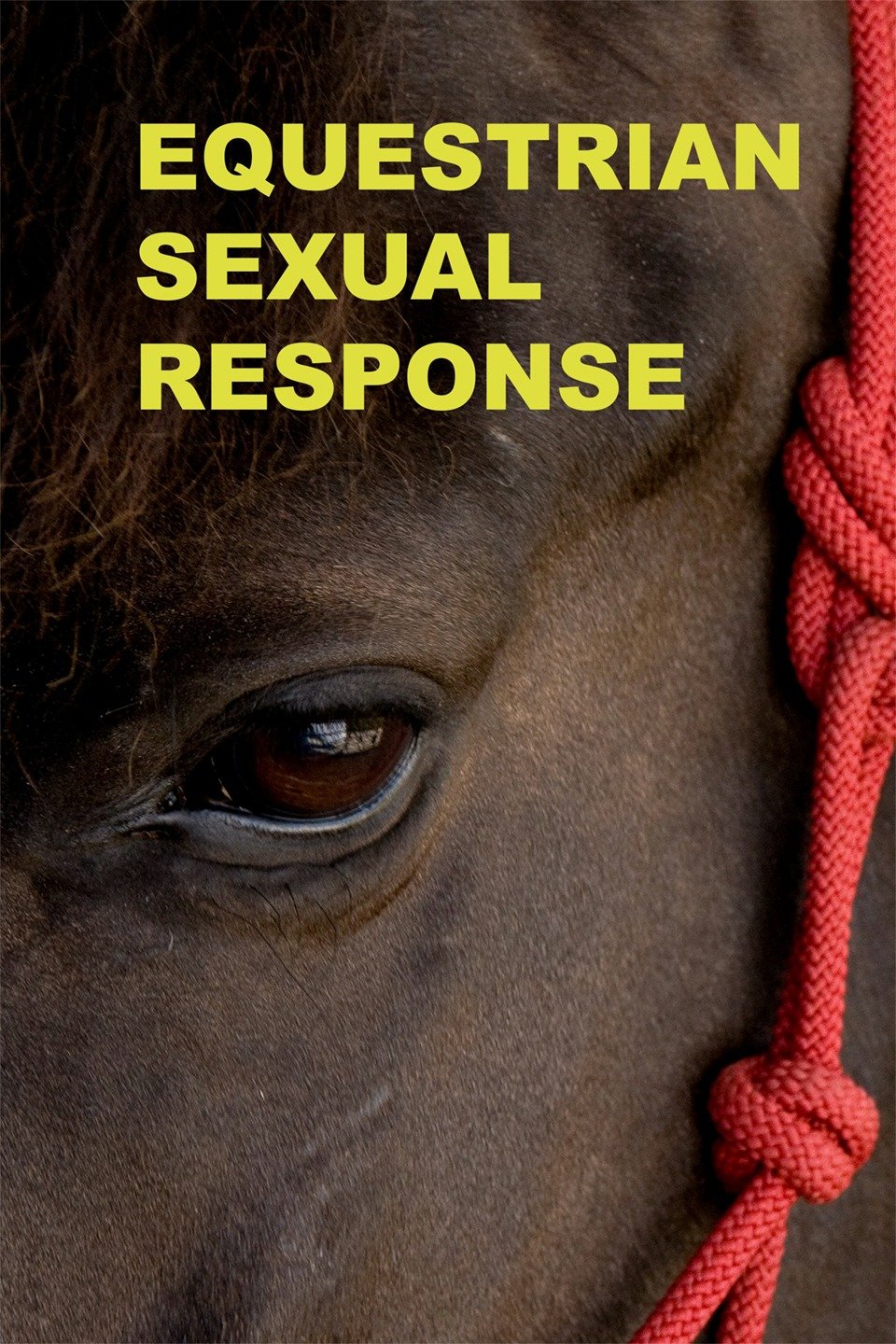 Equestrian Sexual Response Pictures - Rotten Tomatoes