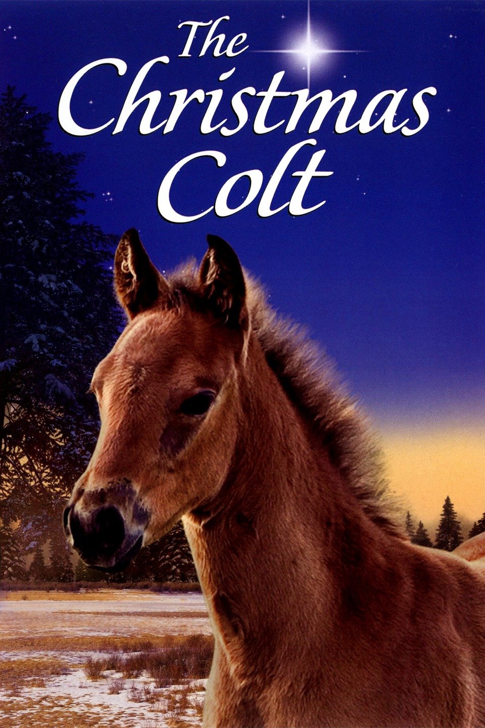 The Christmas Colt Pictures - Rotten Tomatoes