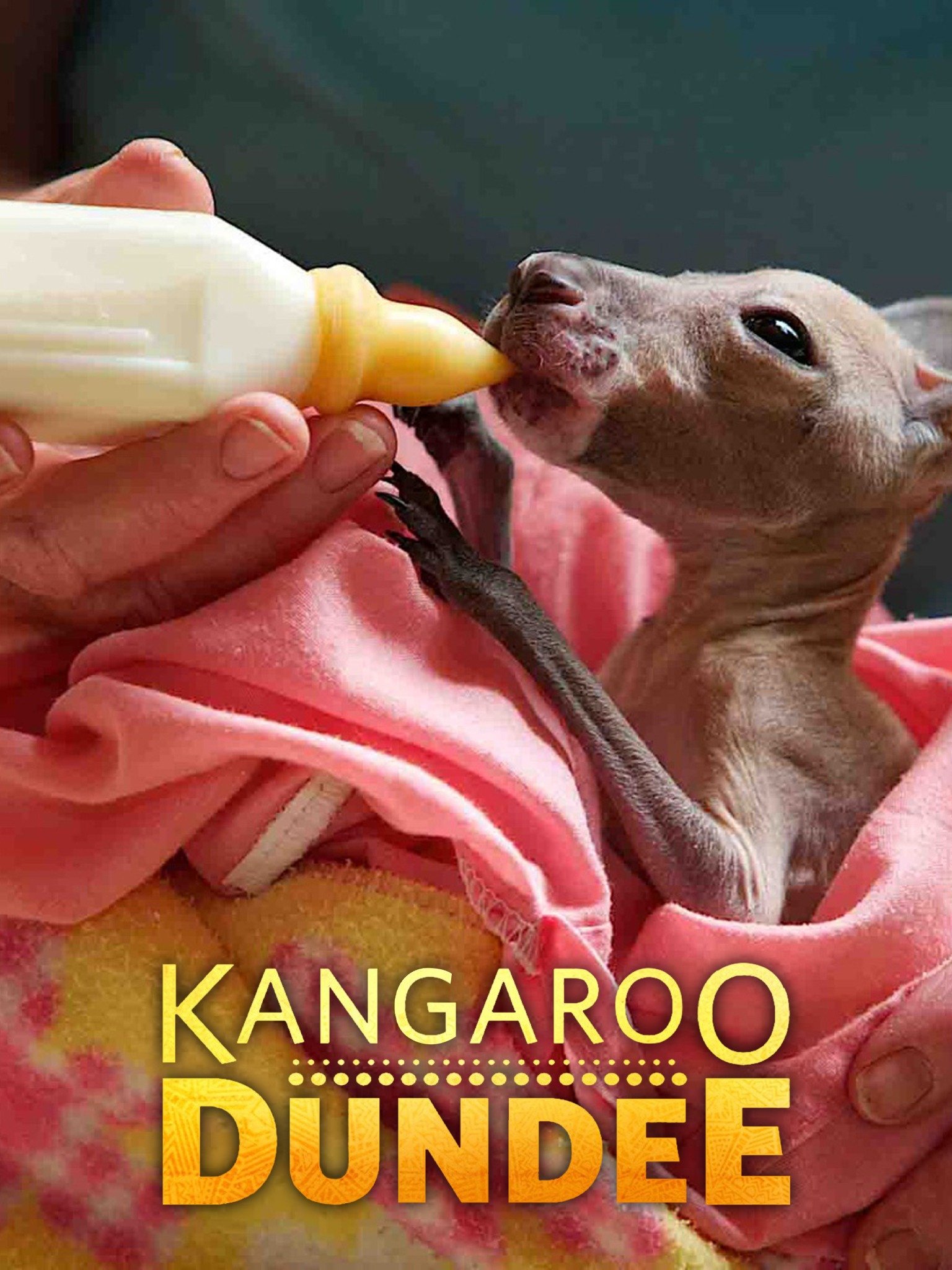 Kangaroo Dundee - Rotten Tomatoes