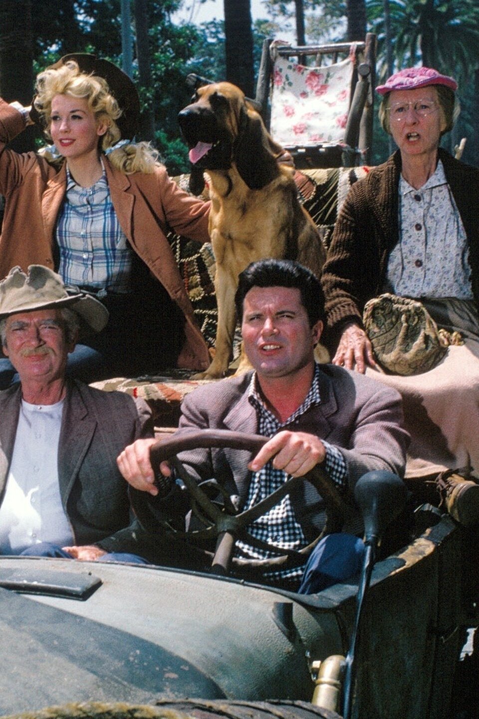 The Brewsters Return Pictures - Rotten Tomatoes