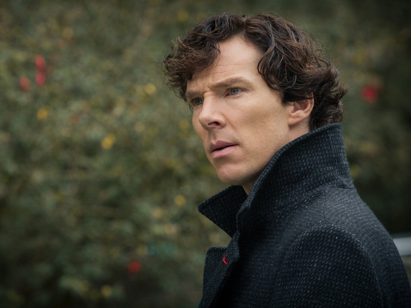 Charles Augustus Magnussen Sherlock