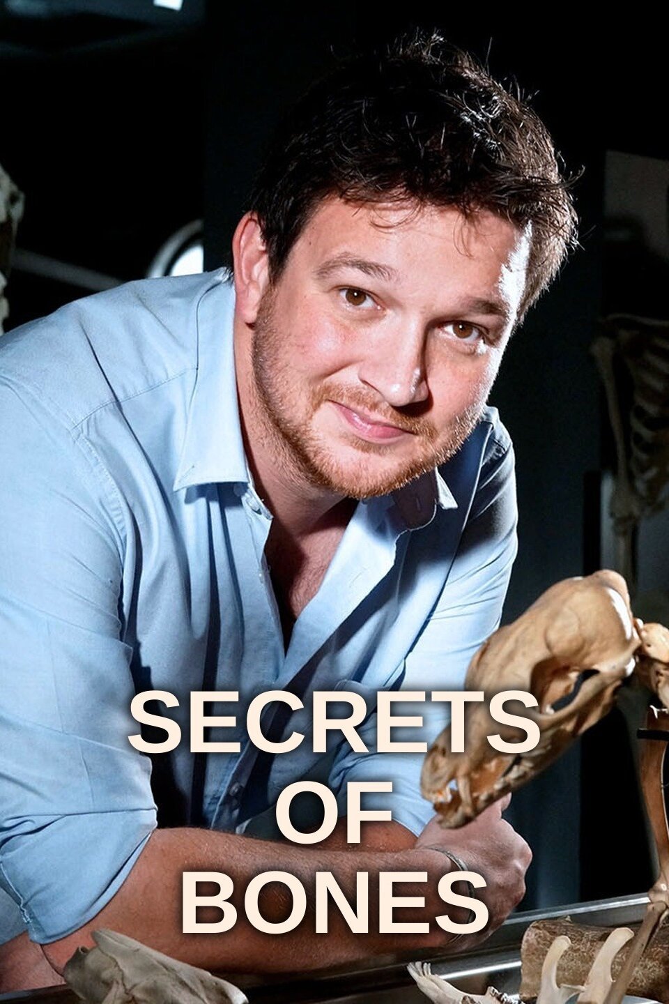 Secrets of Bones - Rotten Tomatoes
