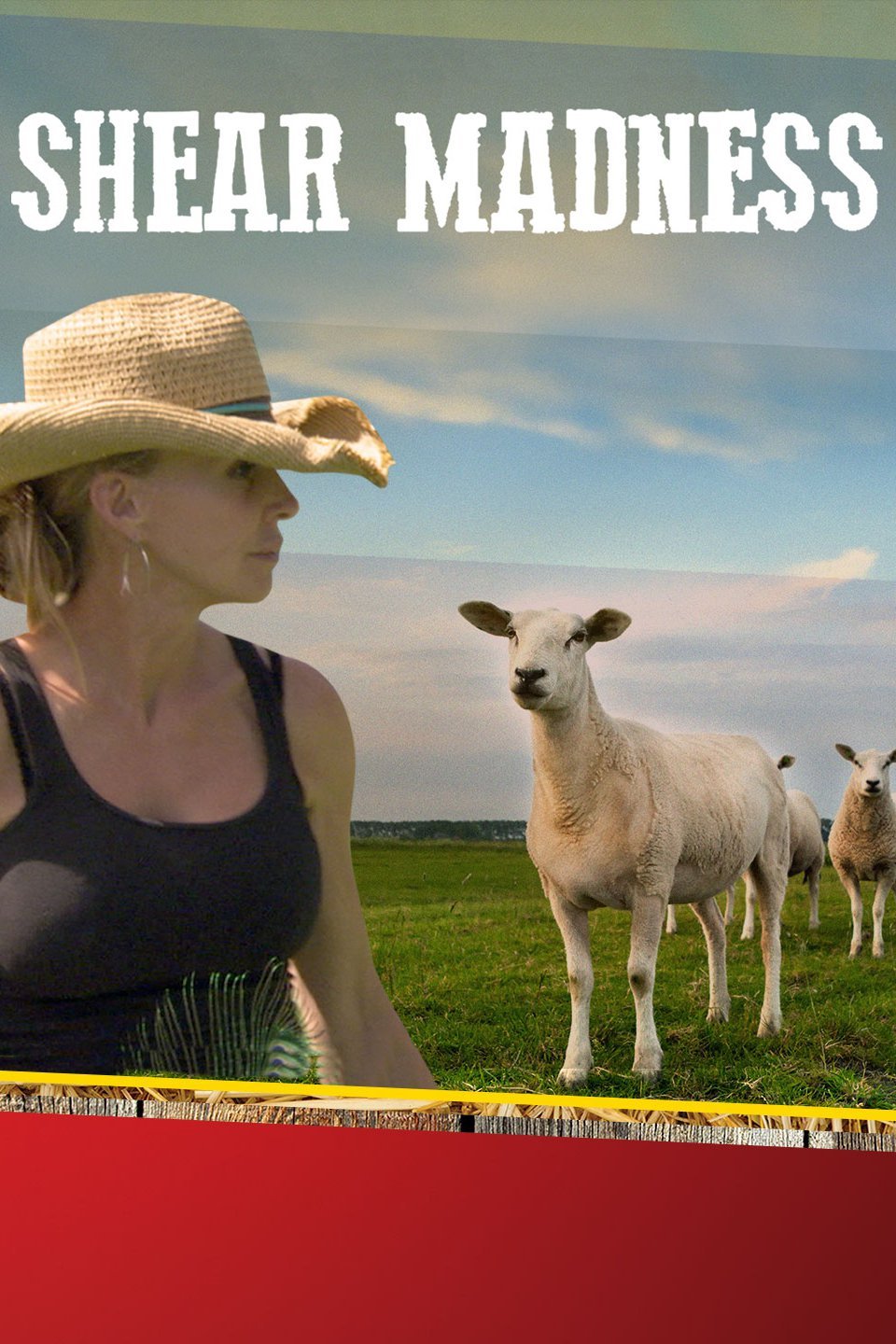 Shear Madness Rotten Tomatoes