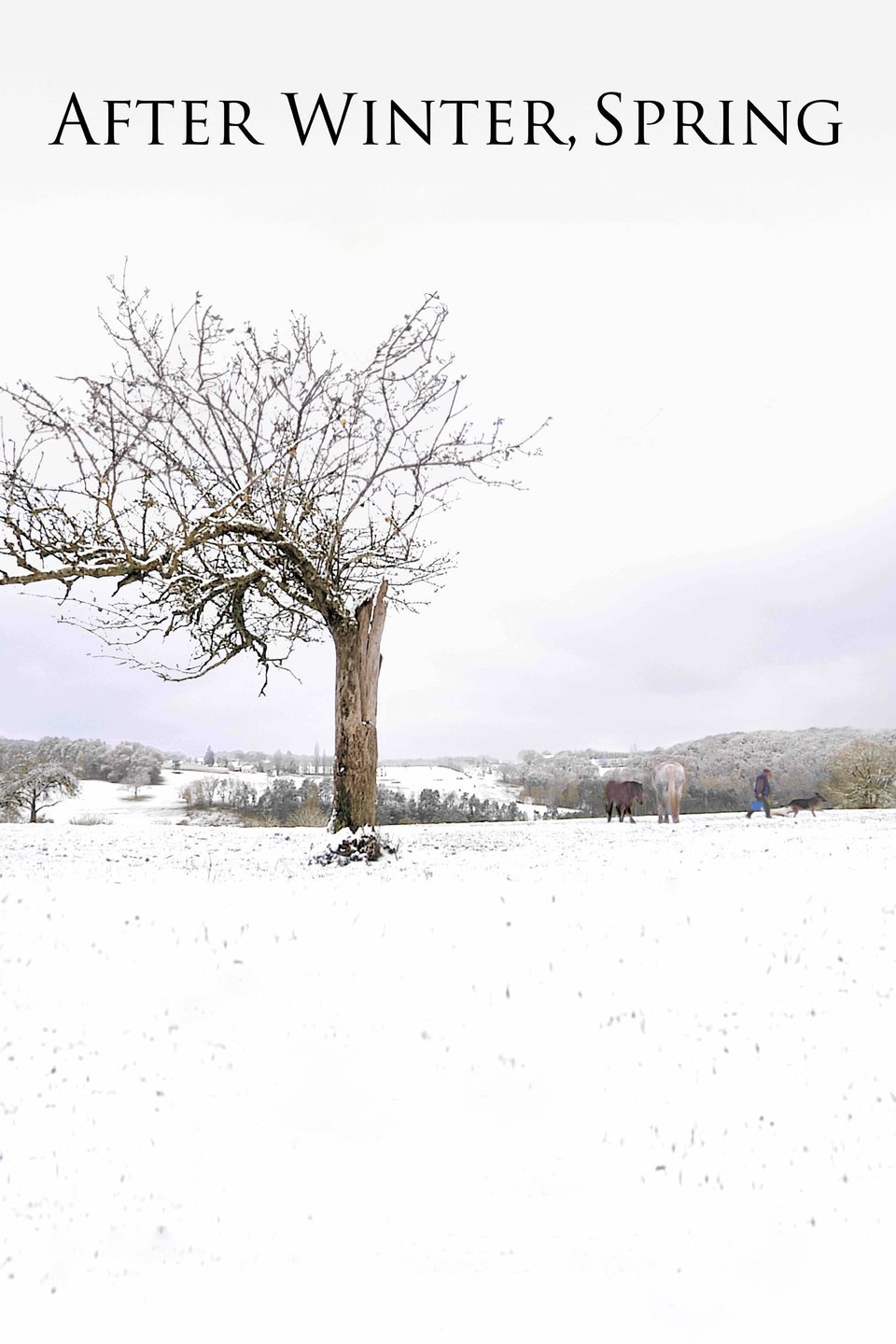 After Winter, Spring - Rotten Tomatoes