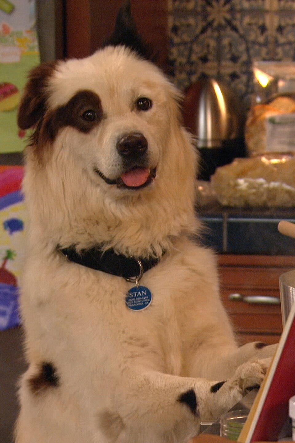 I Want My Nikki Back, Nikki Back, Nikki Back Pictures - Rotten Tomatoes