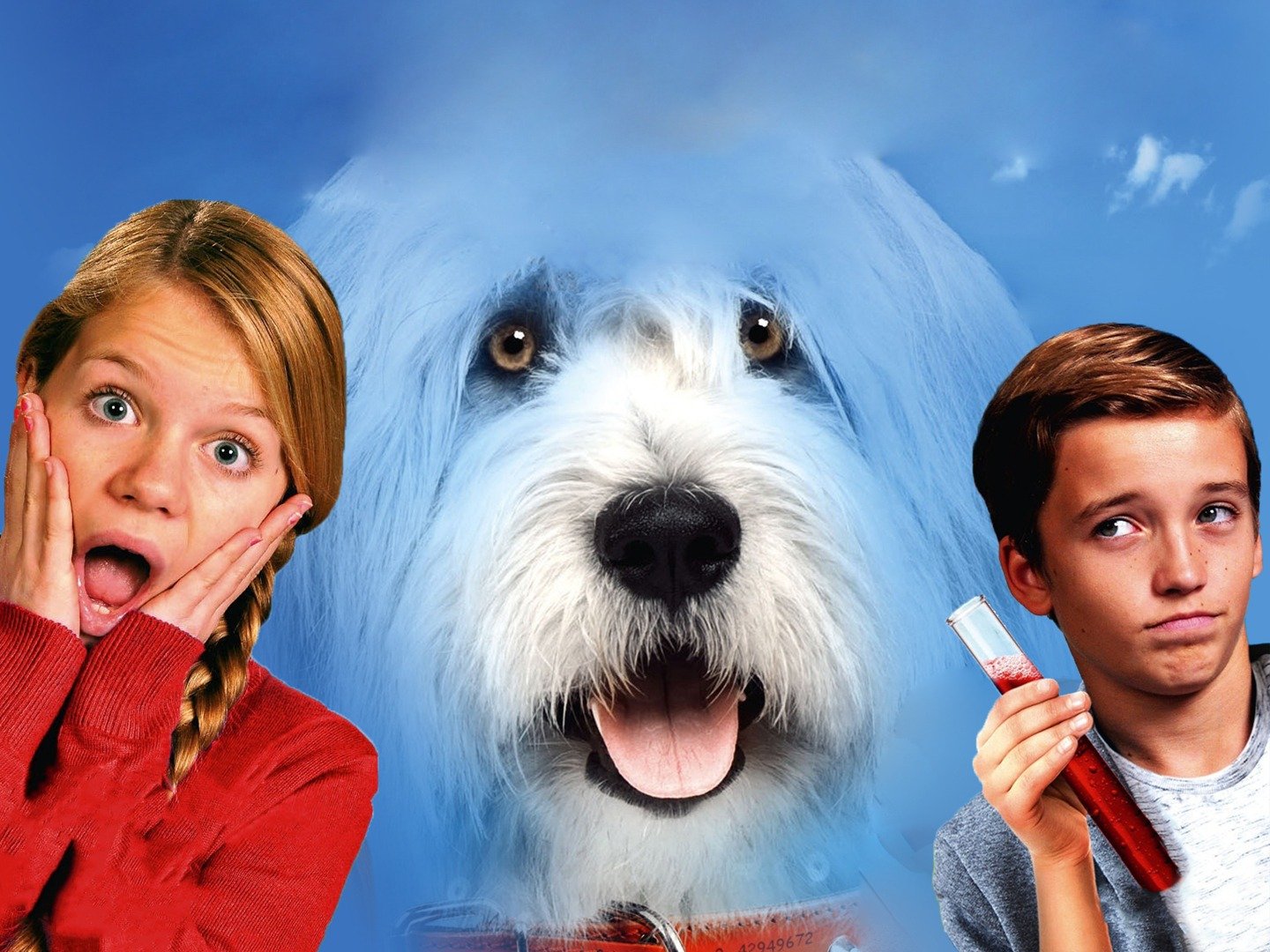 Abner The Invisible Dog