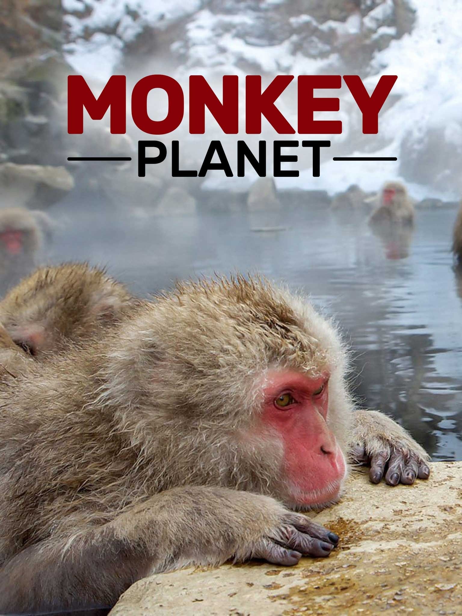 Monkey Planet - Rotten Tomatoes