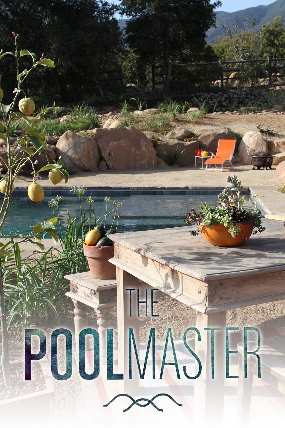 The Pool Master - Rotten Tomatoes