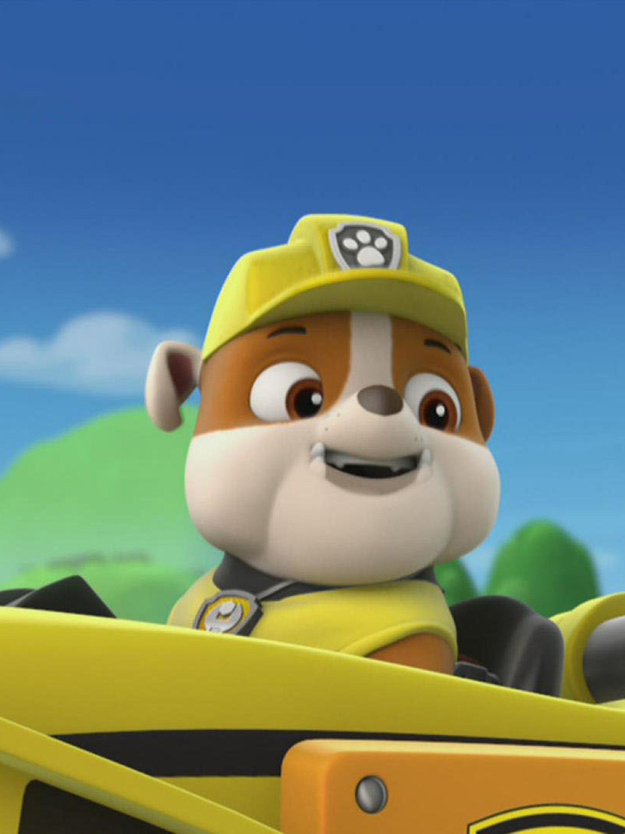 Pups Save a Walrus Pictures - Rotten Tomatoes