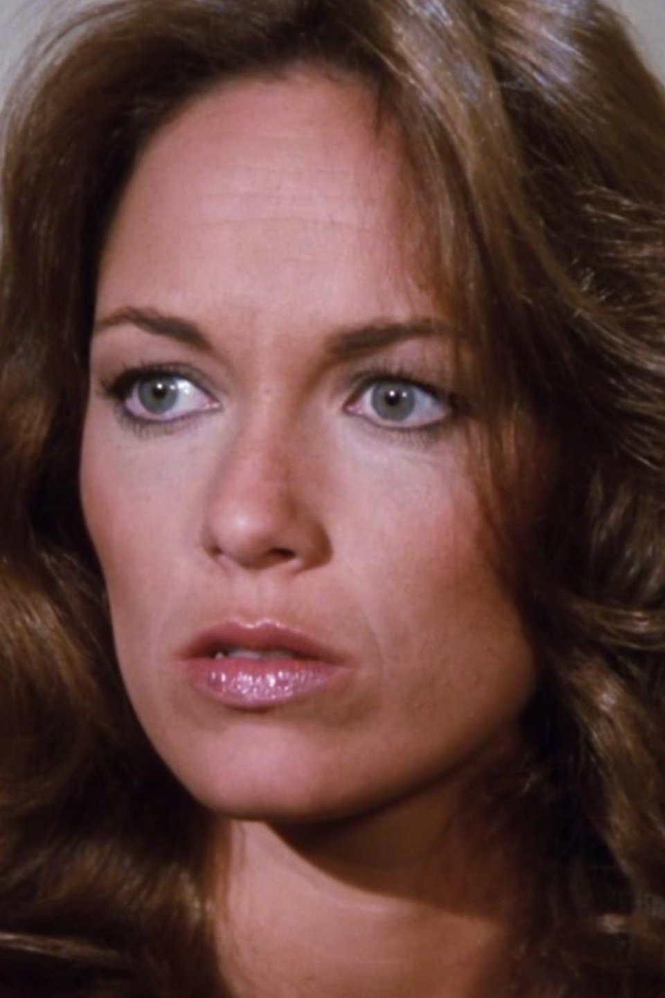 Arrest Jesse Duke Pictures - Rotten Tomatoes