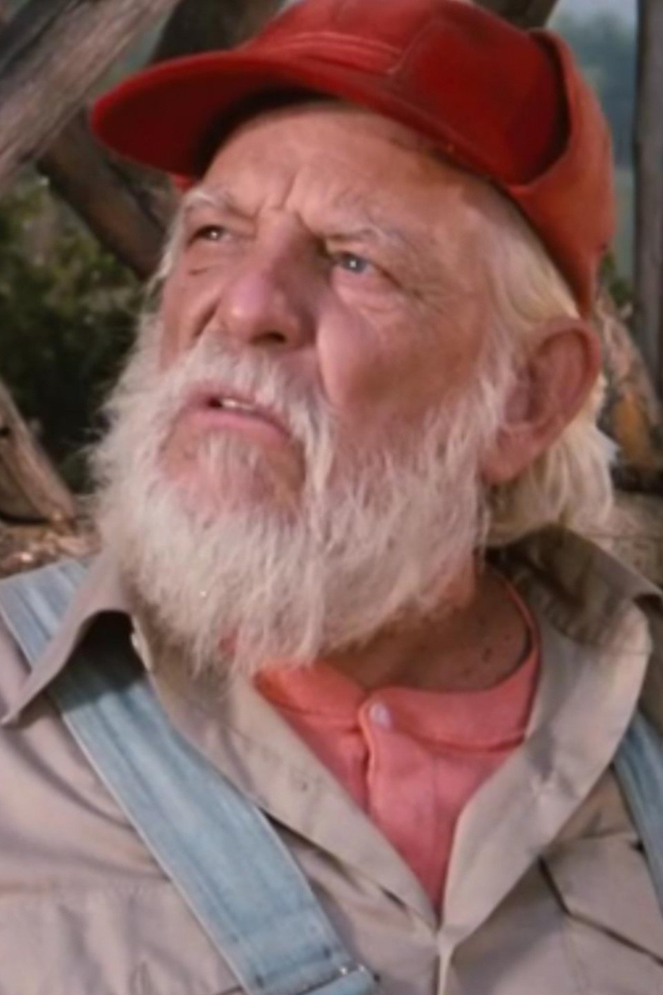 Goodbye, General Lee Pictures - Rotten Tomatoes