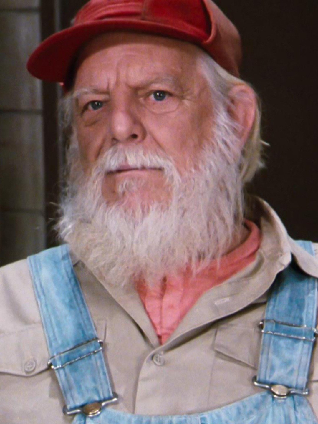 Uncle Jesse Dukes Of Hazzard