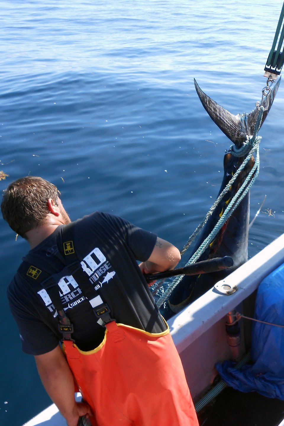 The Mighty Bite Pictures - Rotten Tomatoes