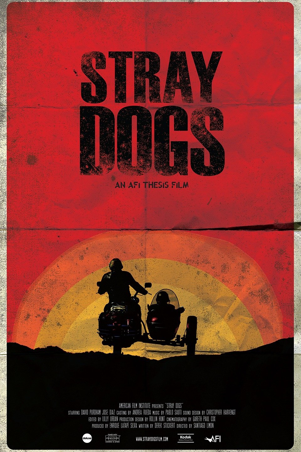 Stray Dogs - Rotten Tomatoes