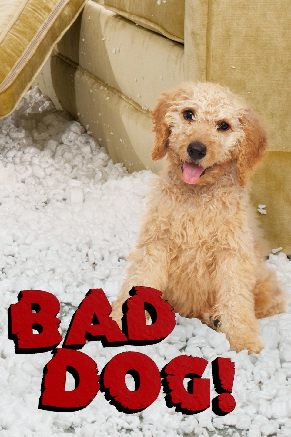 Bad Dog! - Rotten Tomatoes