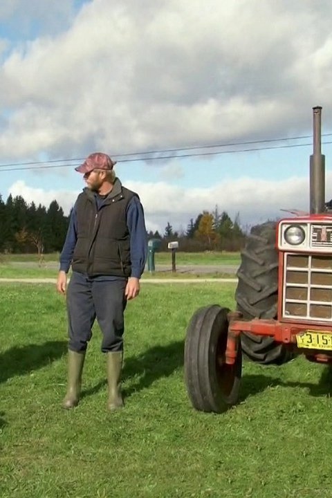 Beaver Fever Pictures - Rotten Tomatoes