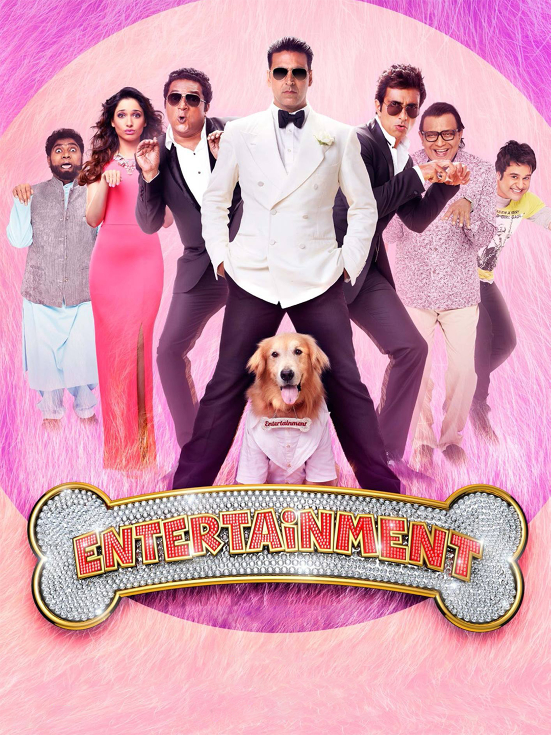 Entertainment Film Poster