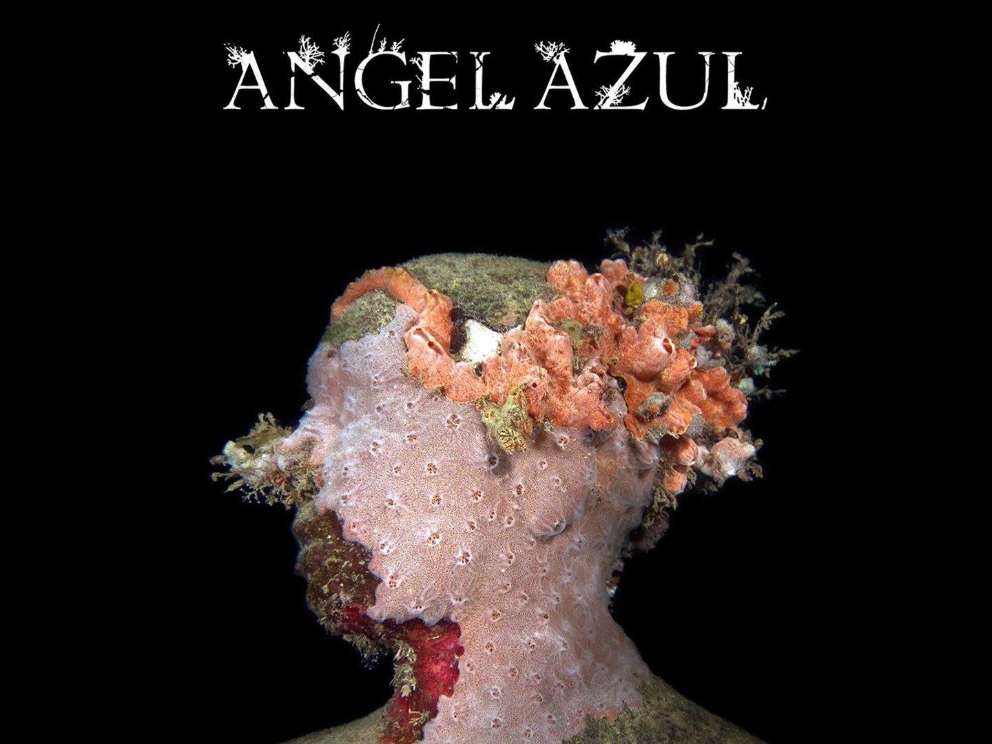 Angel Azul - Movie Reviews