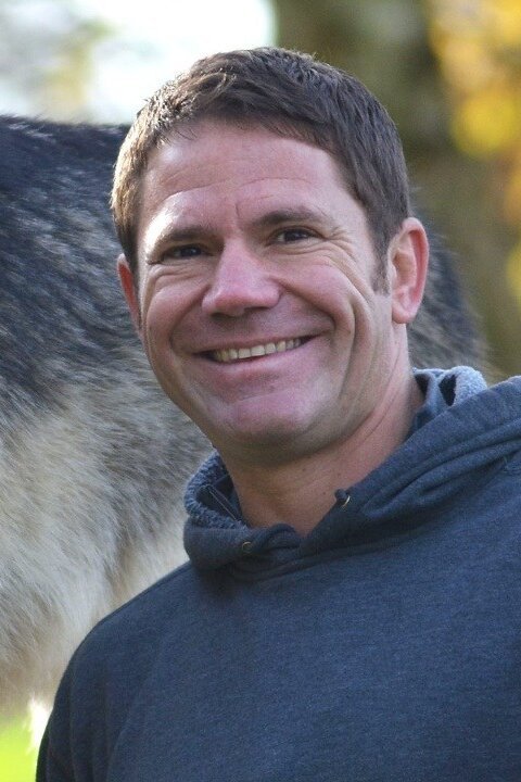 The Wolf Pictures - Rotten Tomatoes