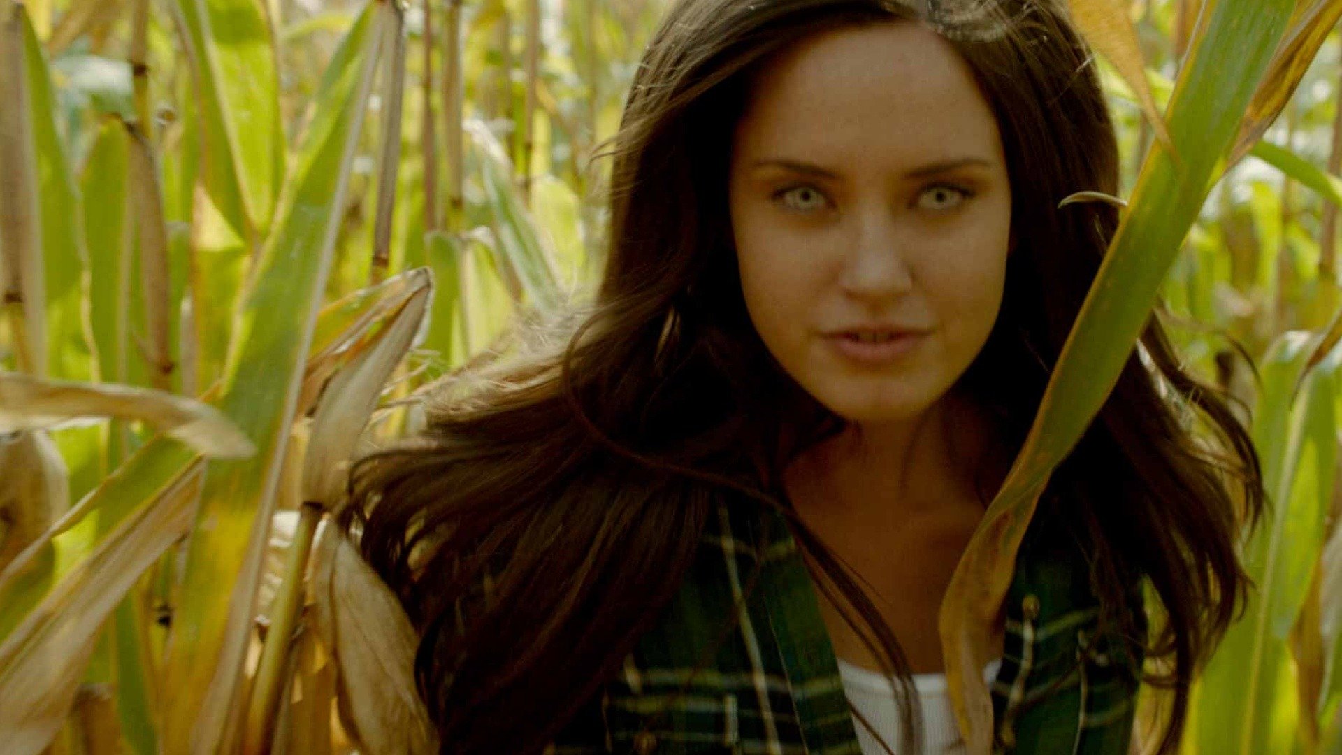 Merritt Patterson Werewolf Transformation