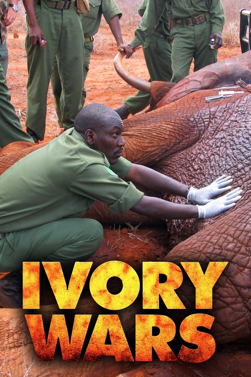 Ivory Wars - Rotten Tomatoes