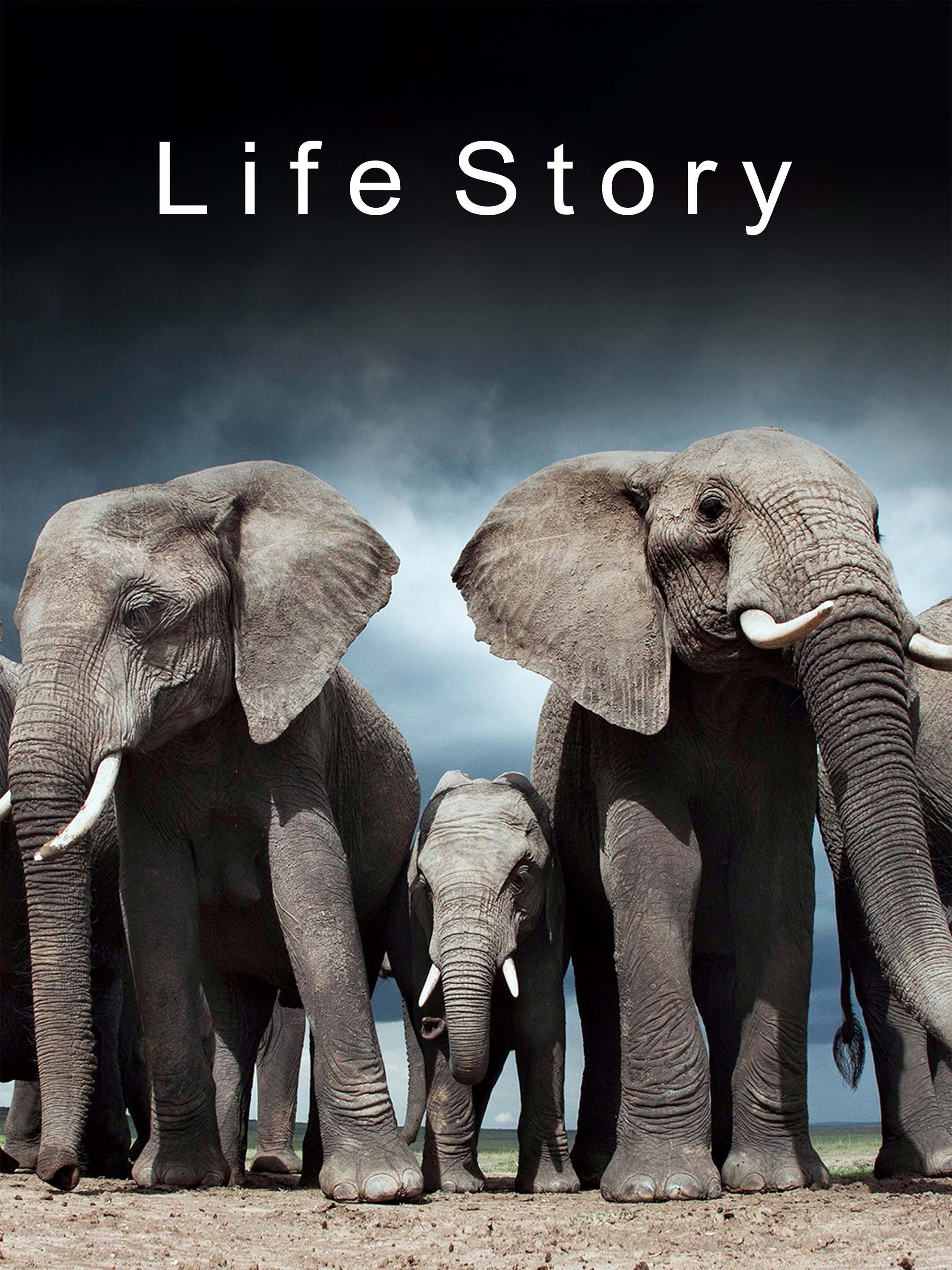 Life Story - Rotten Tomatoes