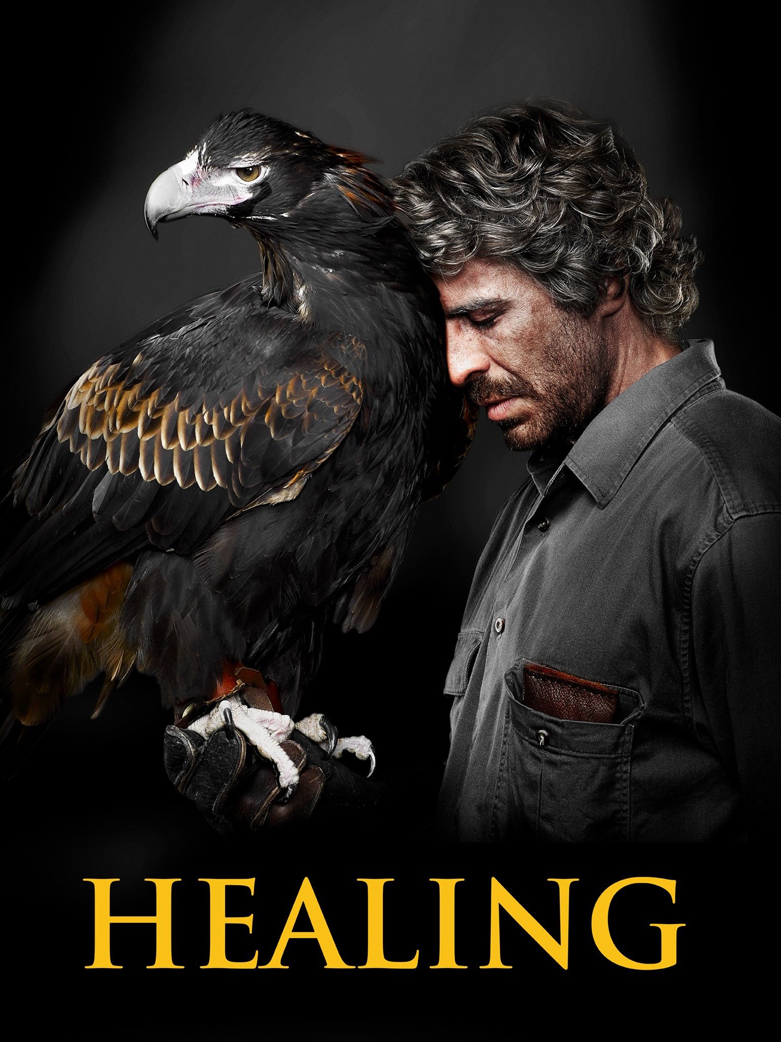 Healing (2014) - Rotten Tomatoes