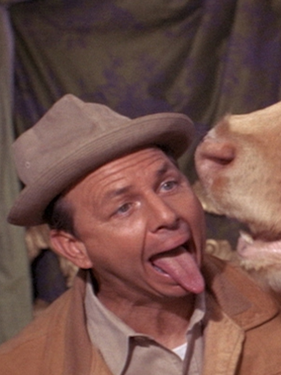 Hank Patterson Actor