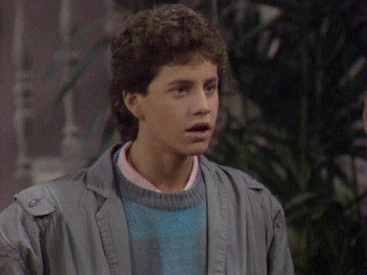 Steve The Cousin From Full House