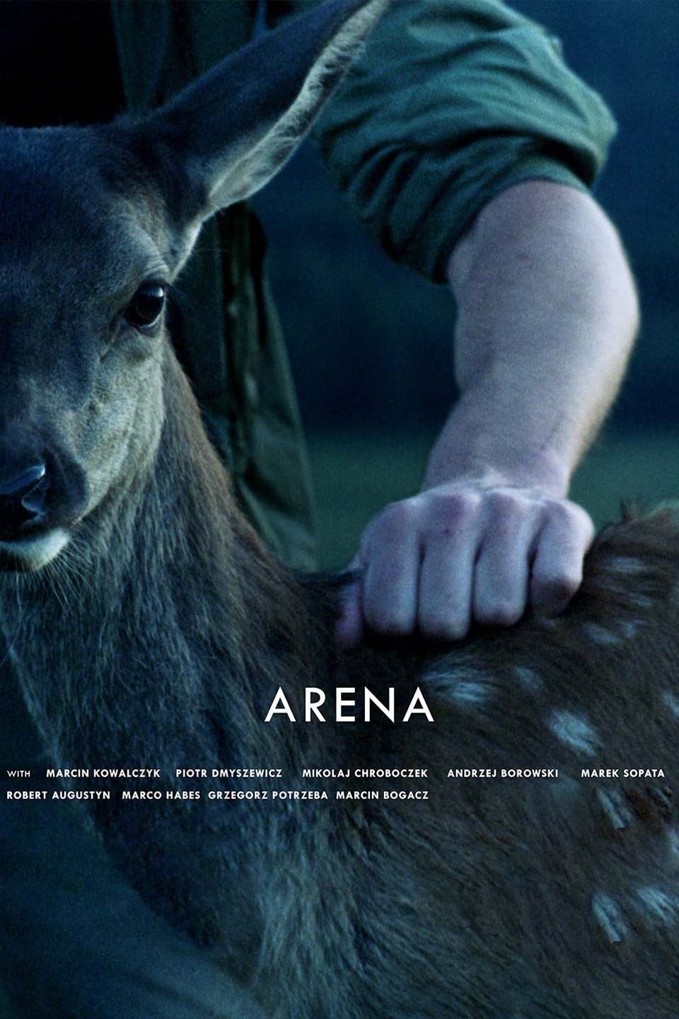 Arena - Rotten Tomatoes